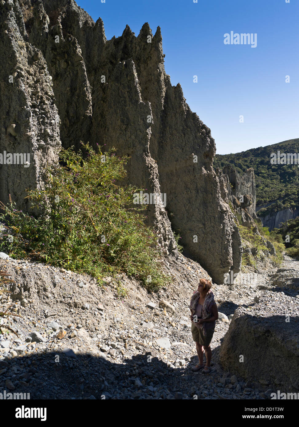 dh Putangirua Pinnacles WAIRARAPA NEW ZEALAND Woman tourist Geological ...