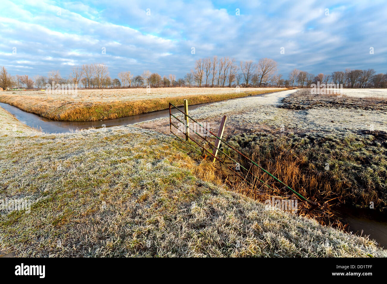 typical Dutch winter landscape Stock Photo - Alamy