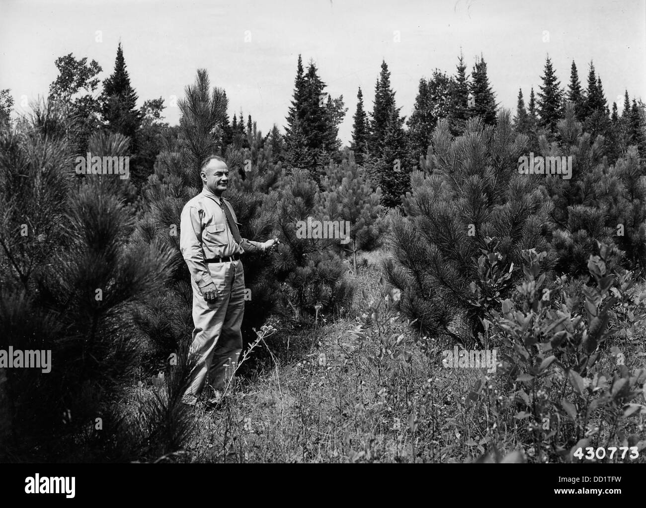 Claude wickard hi-res stock photography and images - Alamy