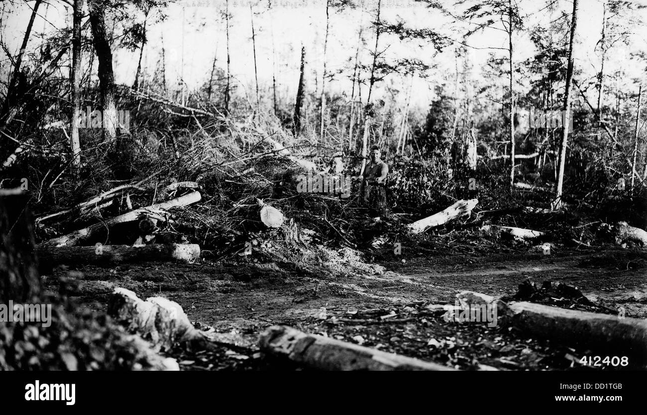 Industrial deforestation Black and White Stock Photos & Images - Alamy