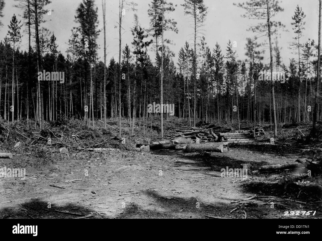 Commercial farmland Black and White Stock Photos & Images - Alamy