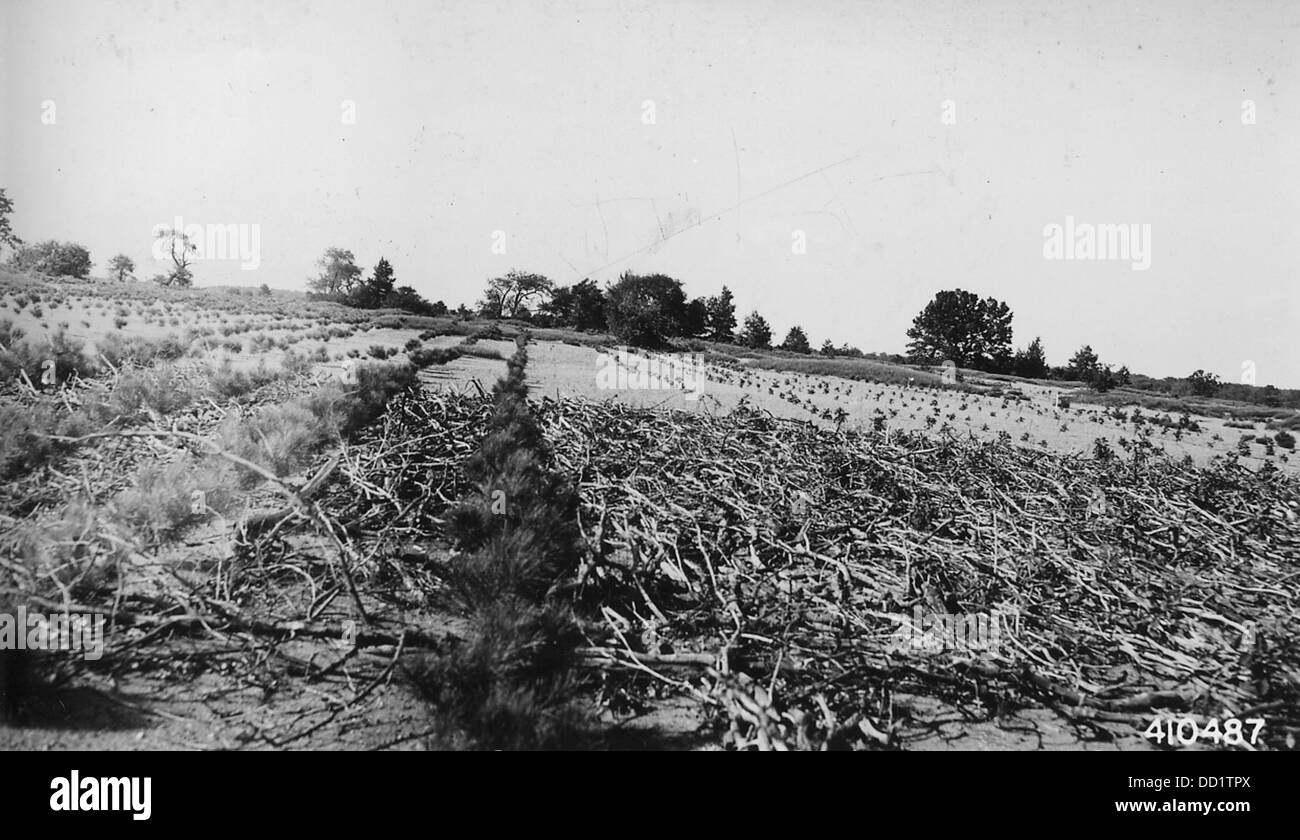 Vegetation height Black and White Stock Photos & Images - Alamy