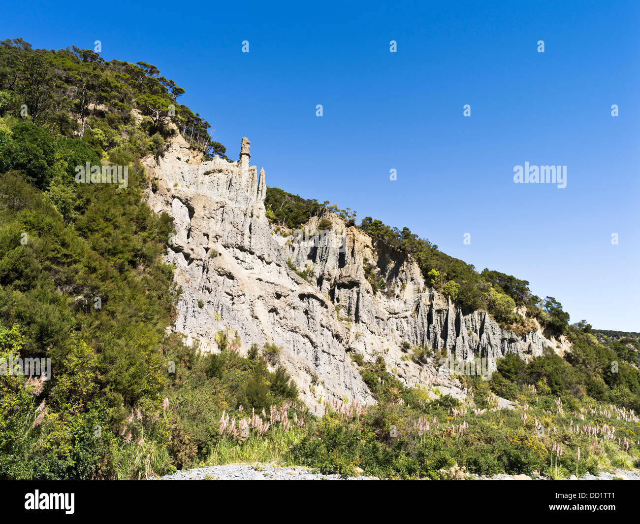 dh Putangirua Pinnacles WAIRARAPA NEW ZEALAND Geological rock formation ...