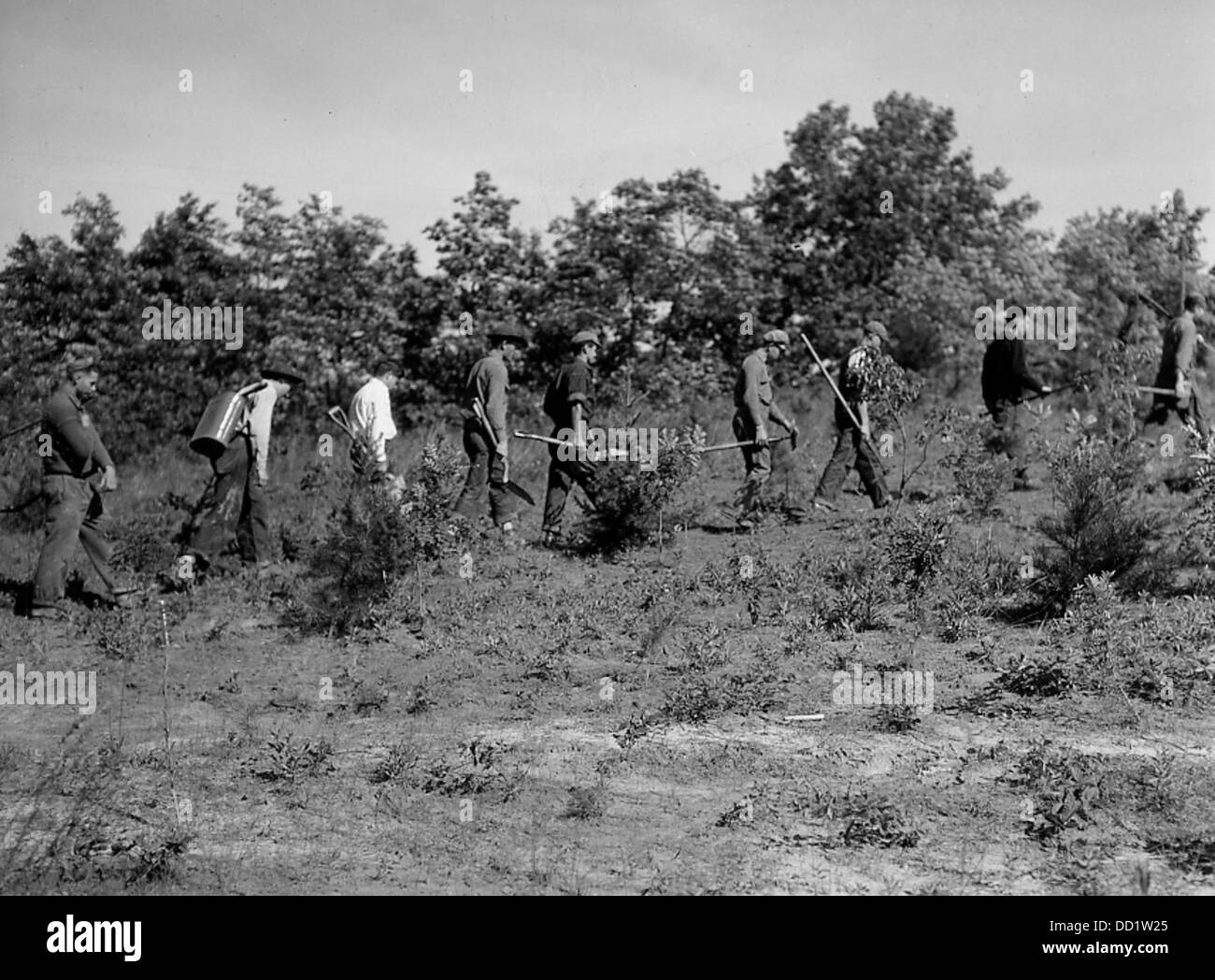 Crews equipped with firefighting tools head toward a fire, ready to ...