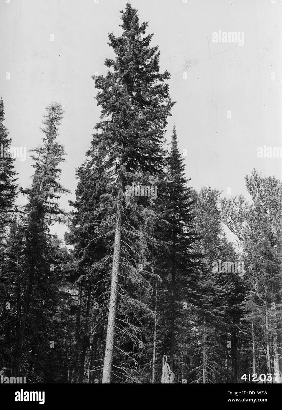 13 foot tall structure hi-res stock photography and images - Alamy