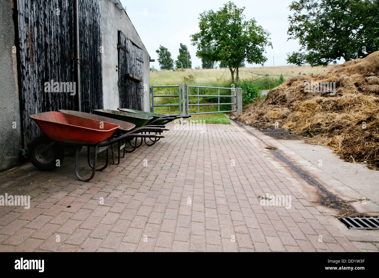 wheelbarrows on a farm Stock Photo - Alamy