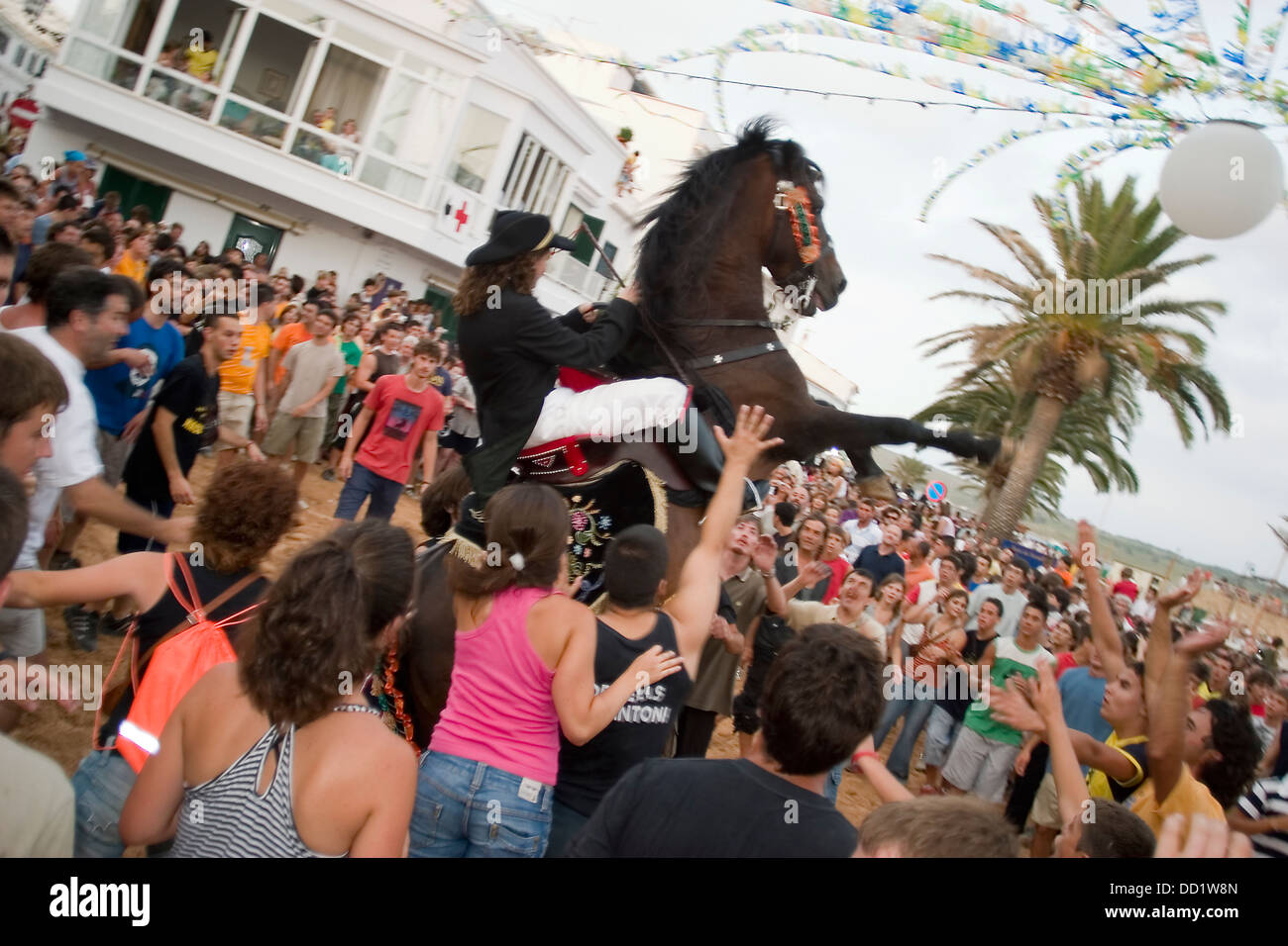Menorca horse caixer hi-res stock photography and images - Alamy