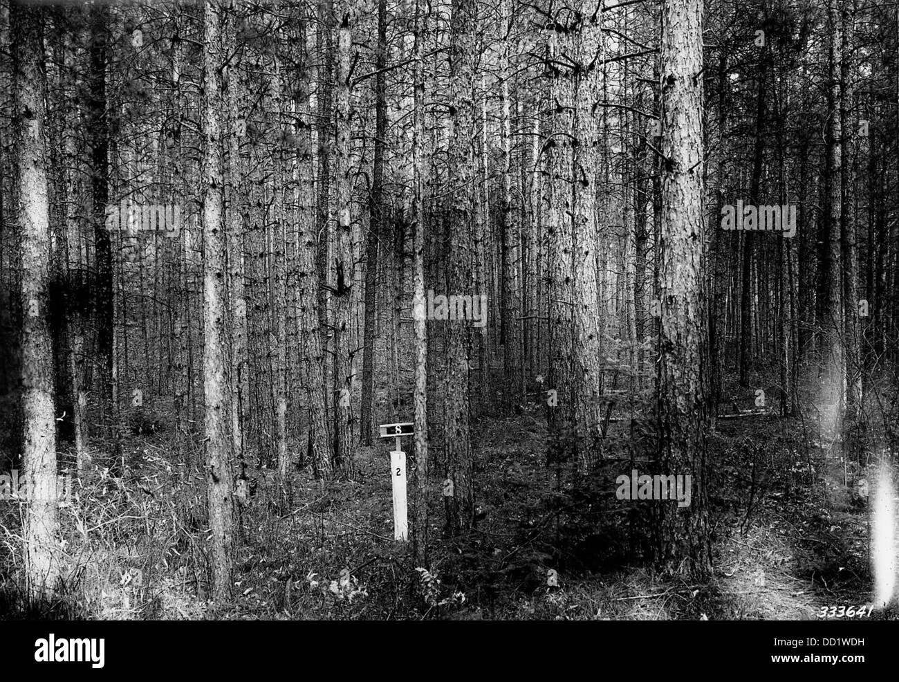 The Cutfoot Experiment Forest is located in Minnesota and serves as a ...