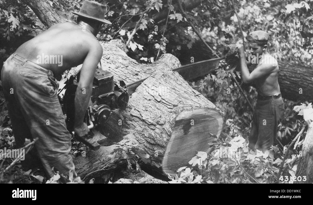 This image shows the process of cutting stave bolts using a Disston ...