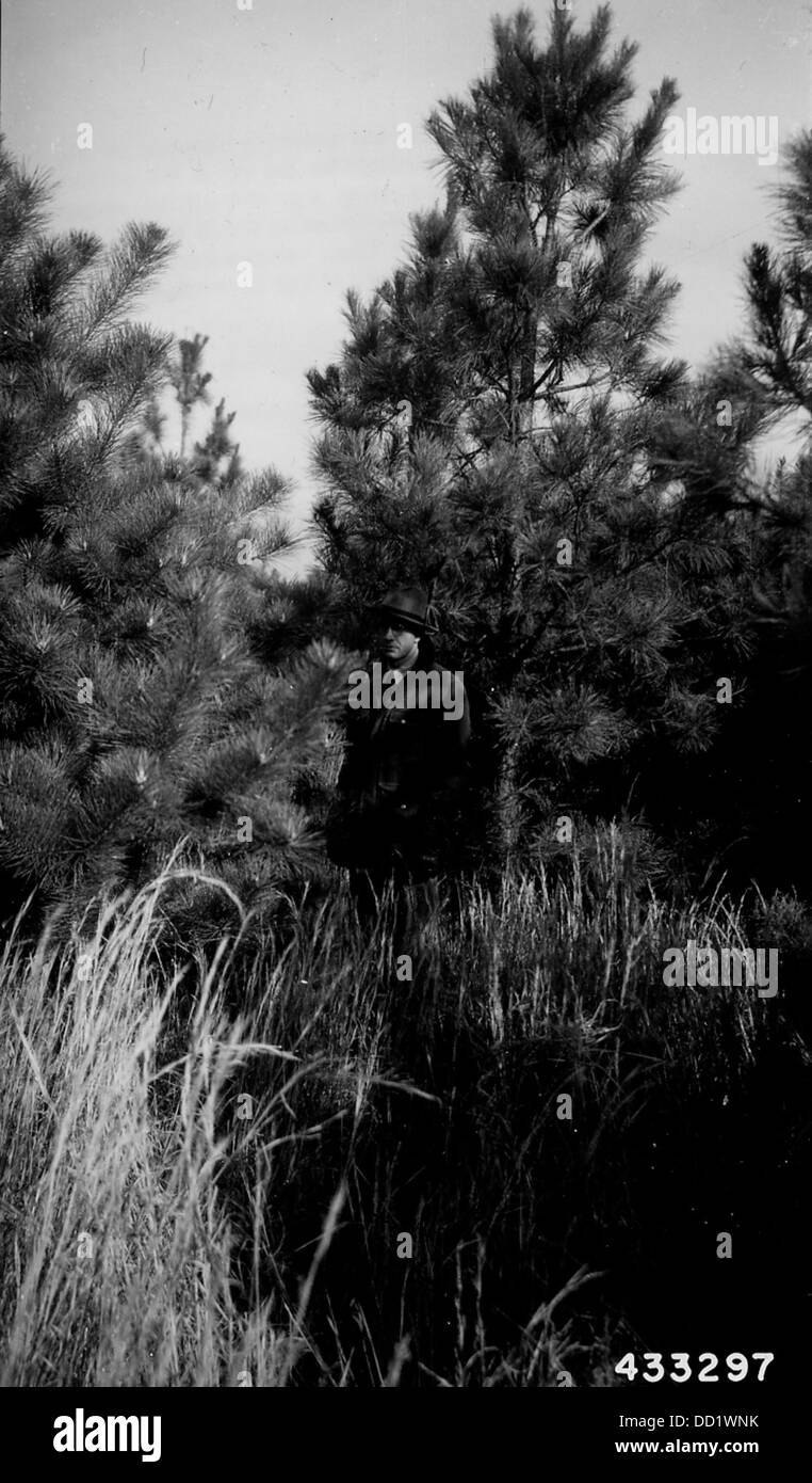 Daughters of the revolution memorial hi-res stock photography and ...