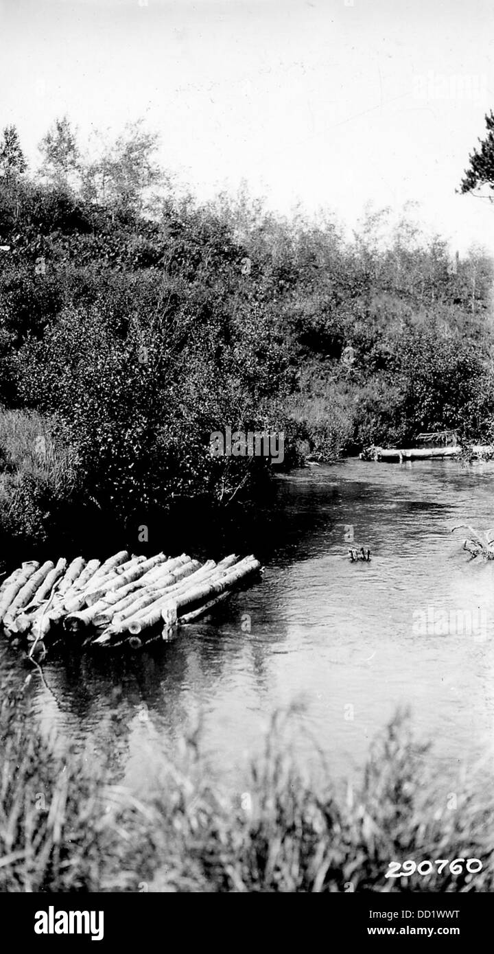 This image shows the Deerskin River, with an improved stream featuring ...