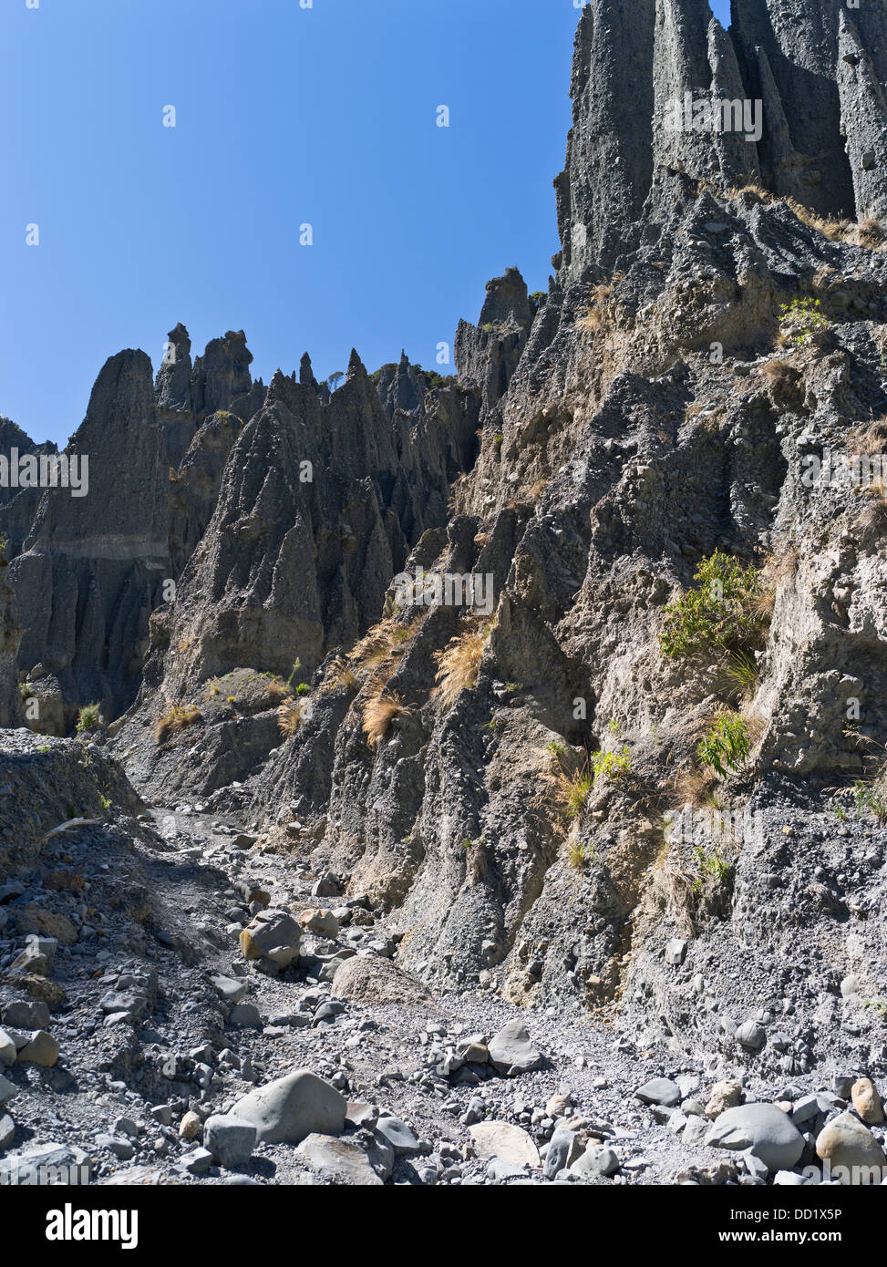 Dh wairarapa new zealand wairarapa hi-res stock photography and images ...