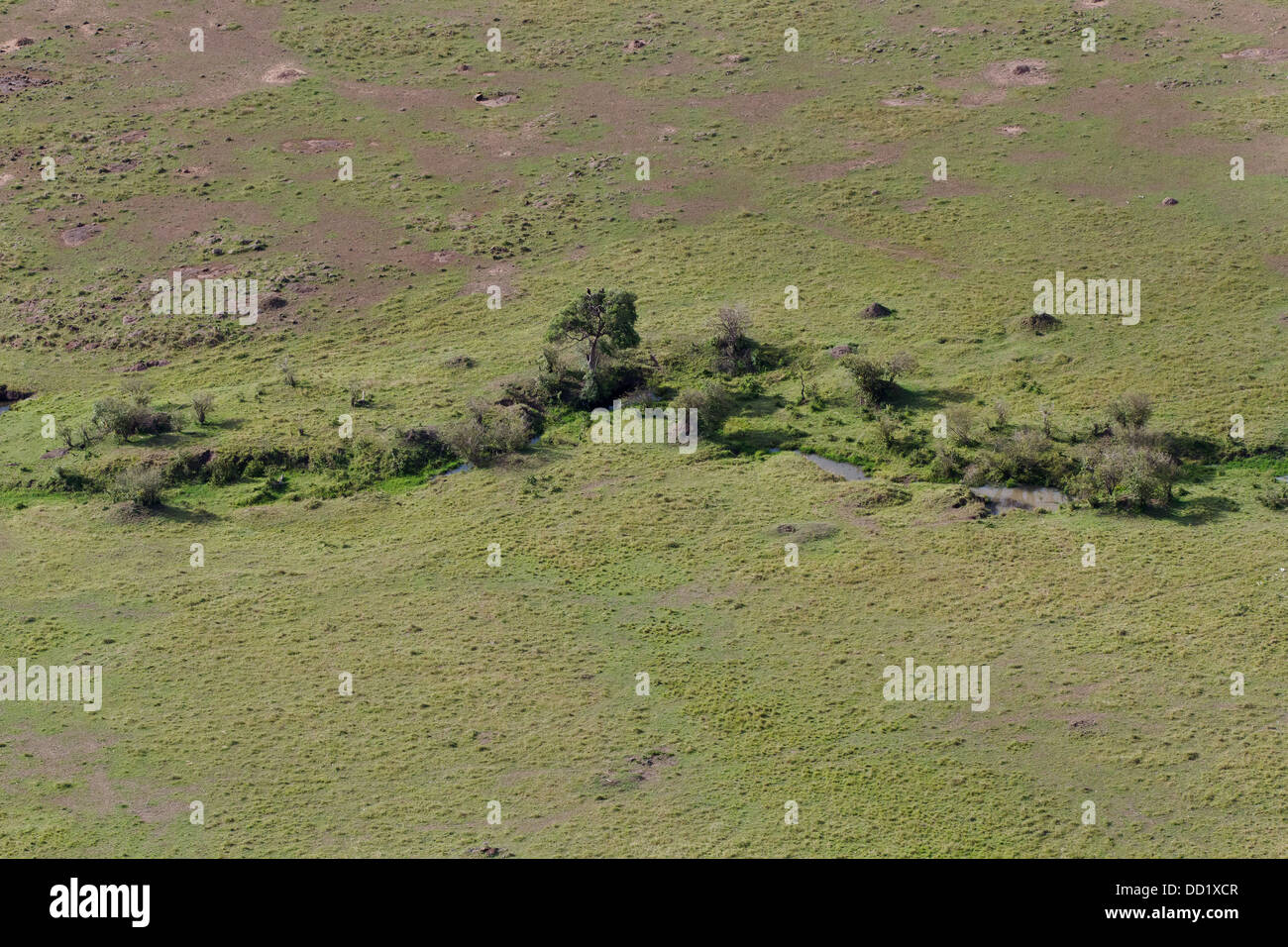 Masai mara landscape with river hi-res stock photography and images - Alamy