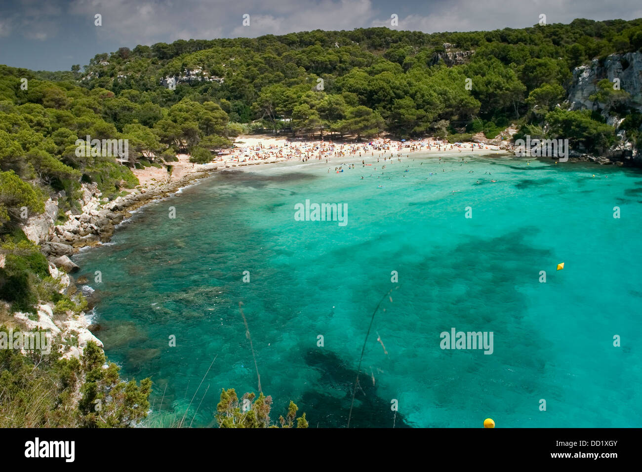 Beach and forest view Stock Photo - Alamy