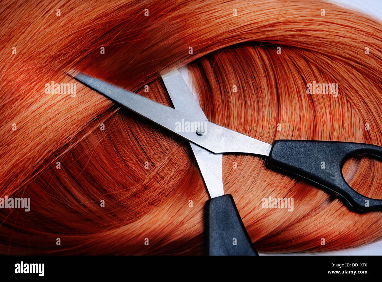 Long healthy red hair and professional scissors Stock Photo - Alamy