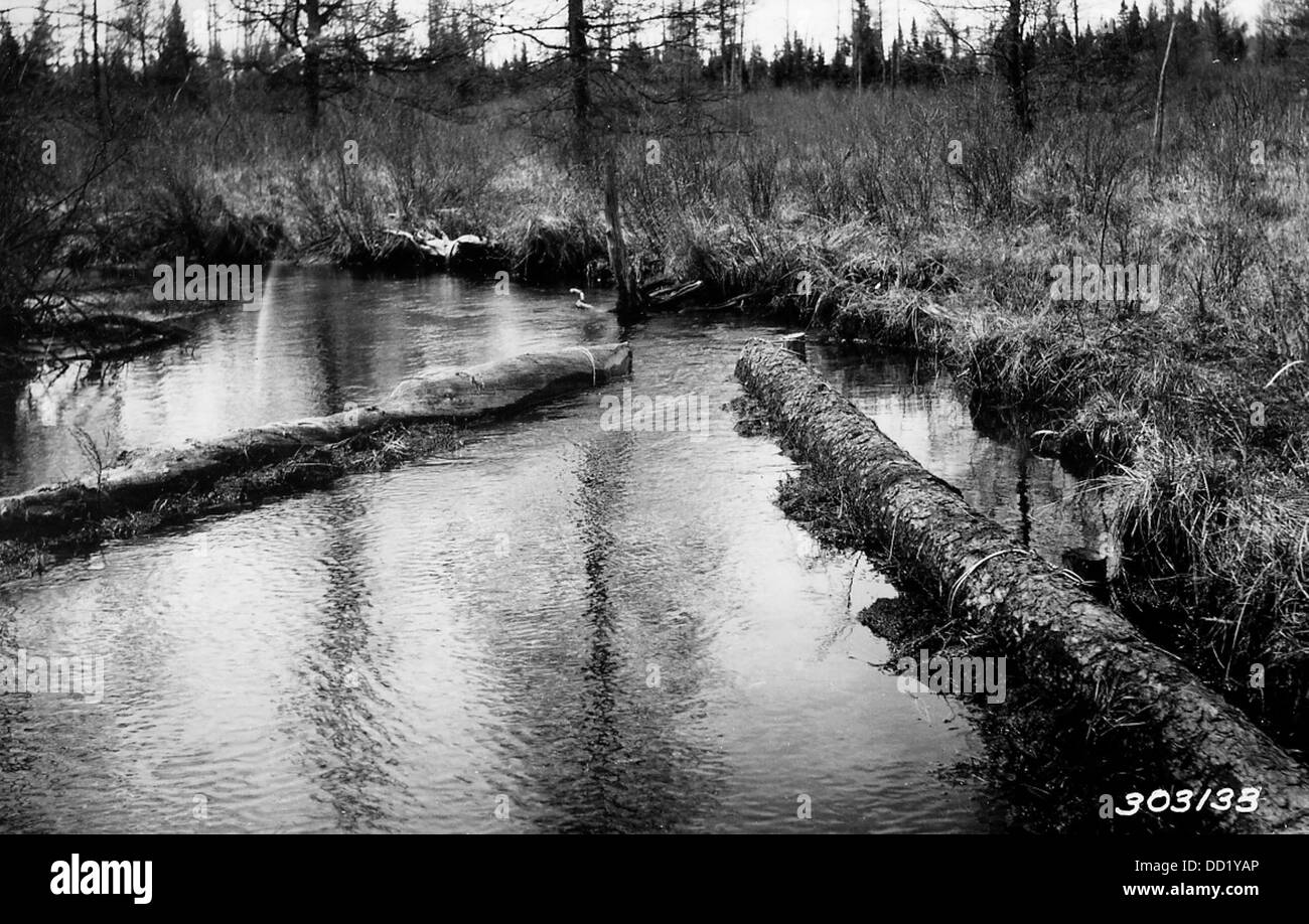 Emergency Conservation Work (ECW) stream improvement focuses on ...