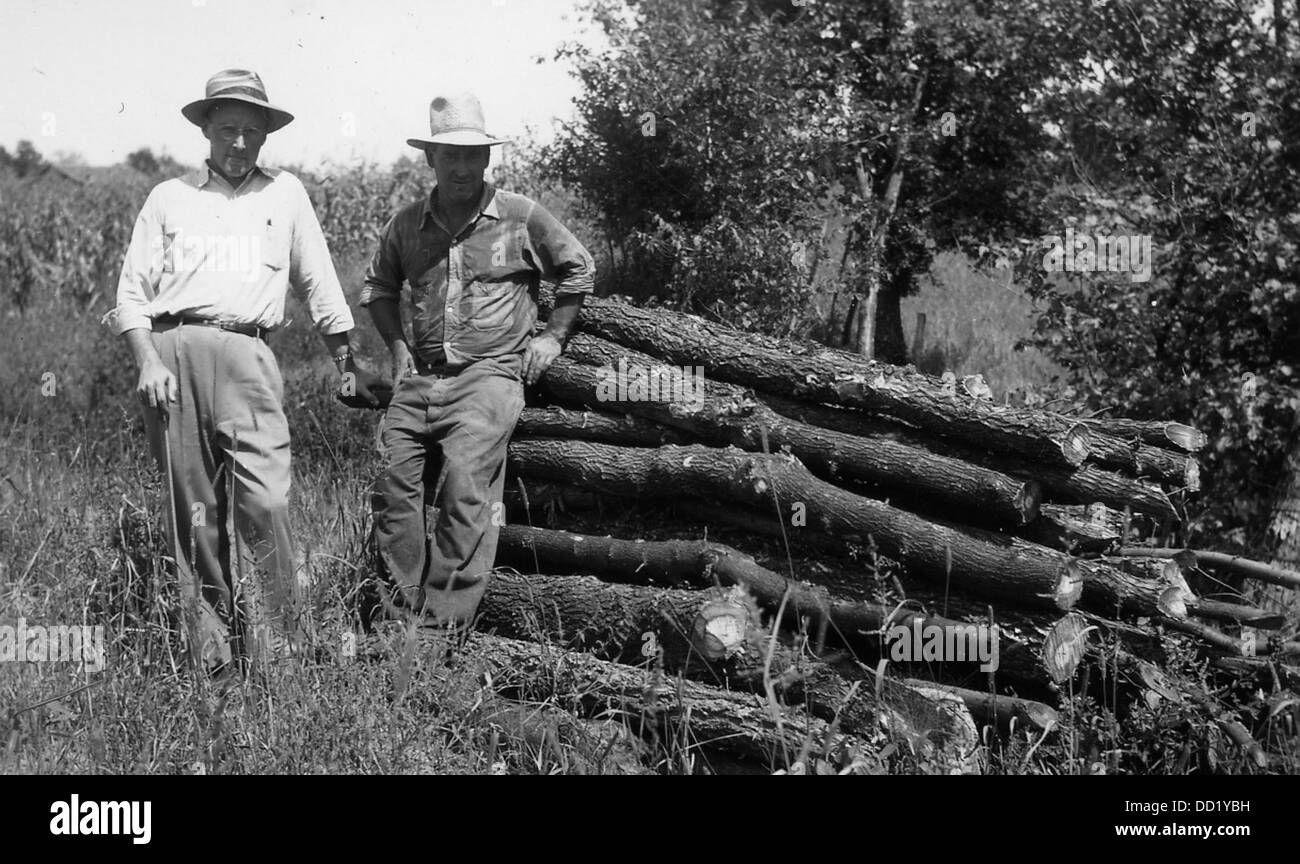 Boxelder Black and White Stock Photos & Images - Alamy