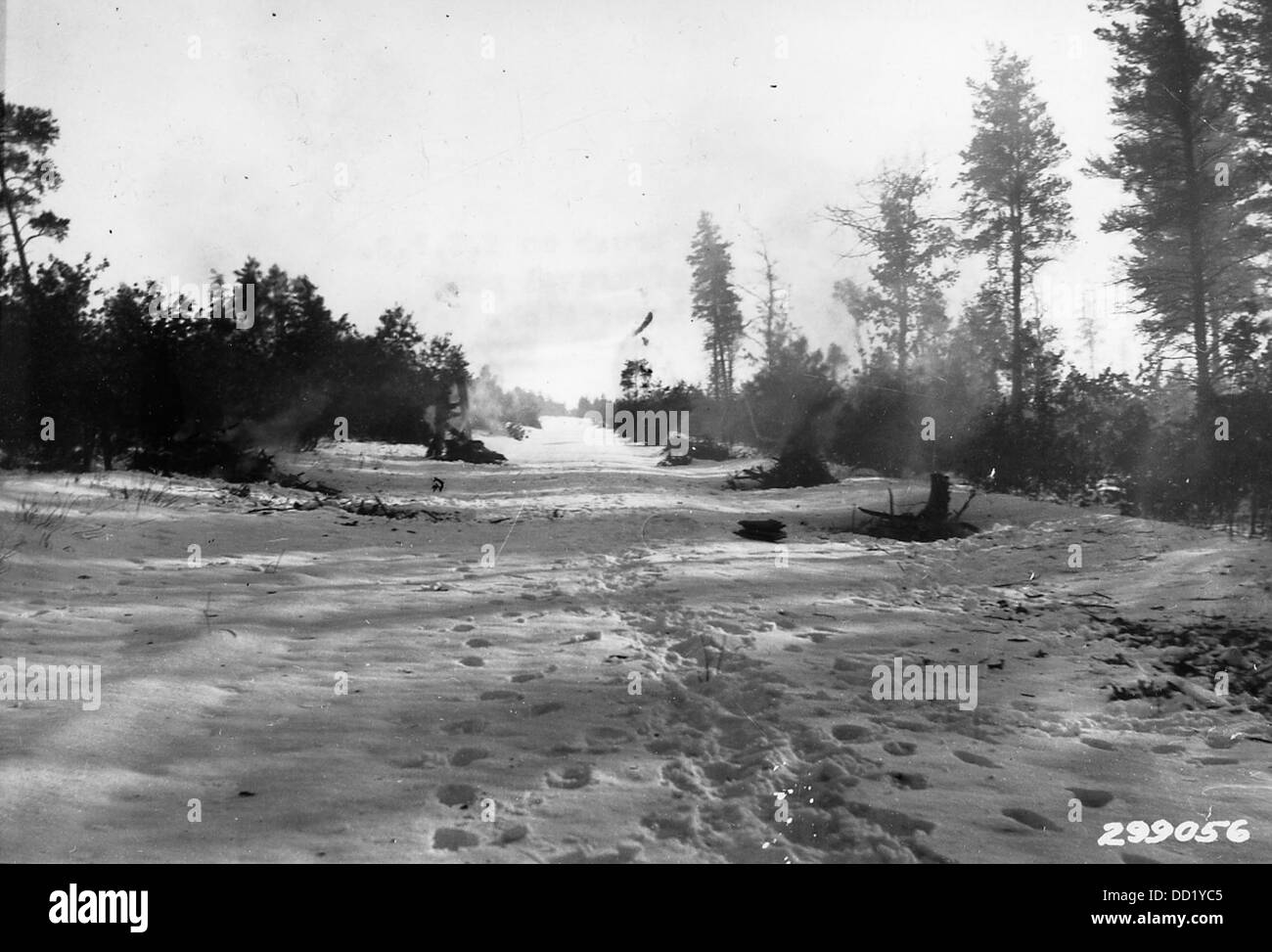 Emergency conservation work hi-res stock photography and images - Alamy