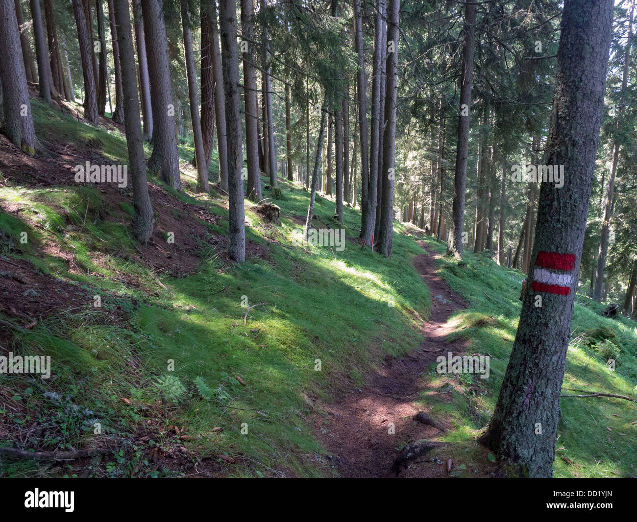 A marked mountain trail through the woods near Innbruck in Tyrol (Tirol ...