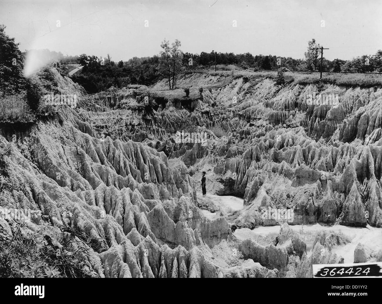 Extreme erosion in various regions highlights significant environmental ...