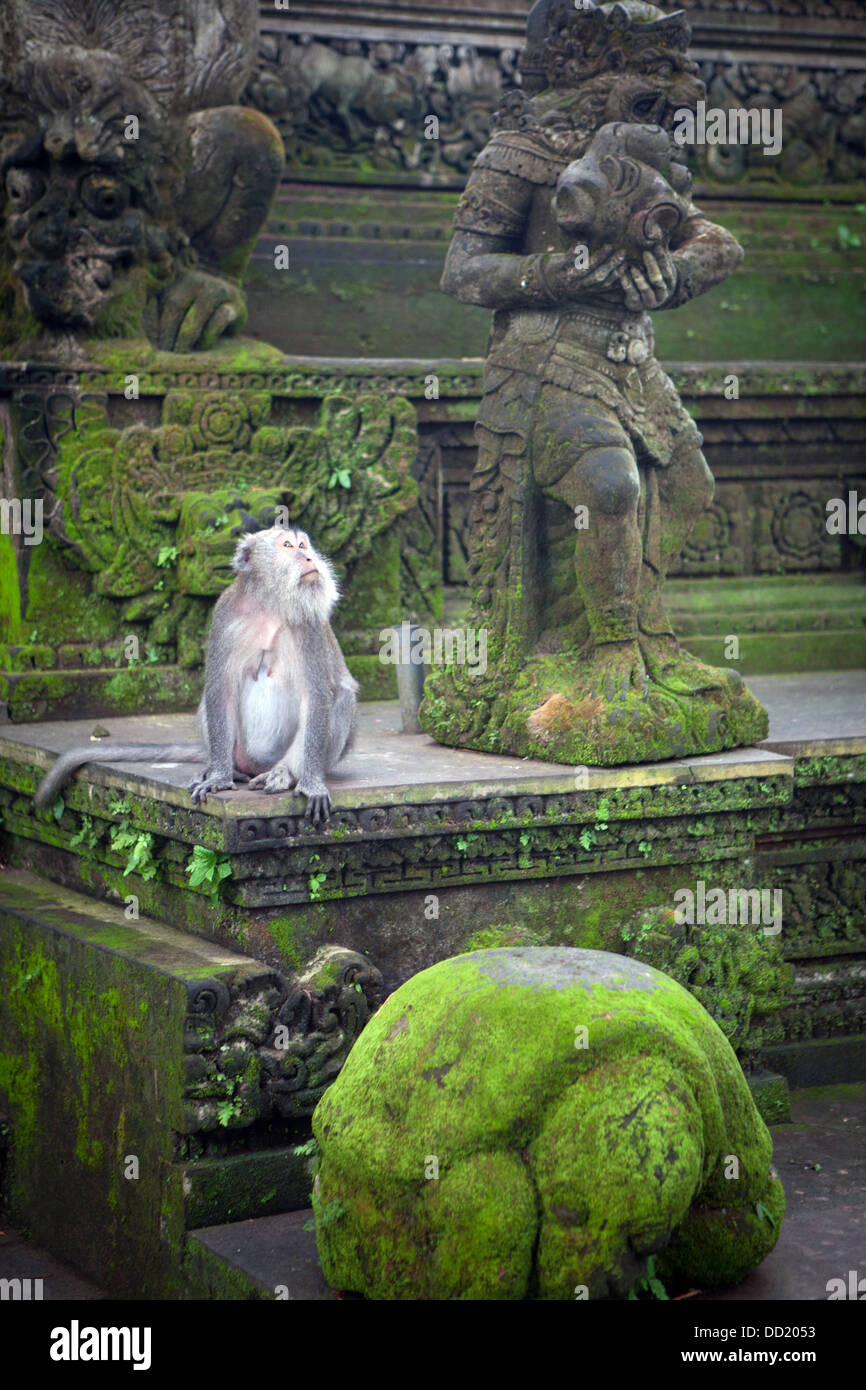 Monkey Forest temple, Ubud, Bali, Indonesia Stock Photo - Alamy