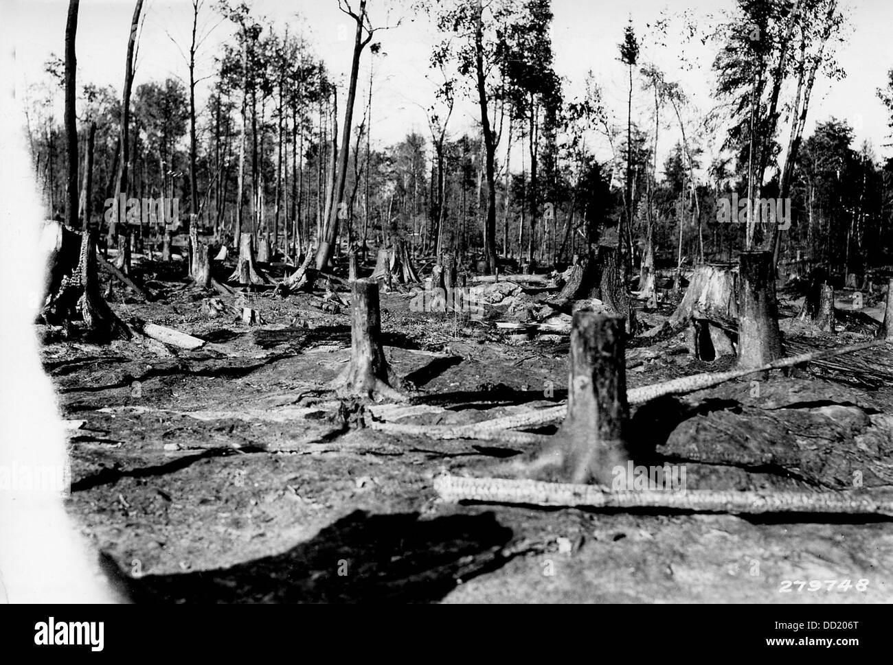 Fire damage is depicted in the aftermath of a destructive blaze ...