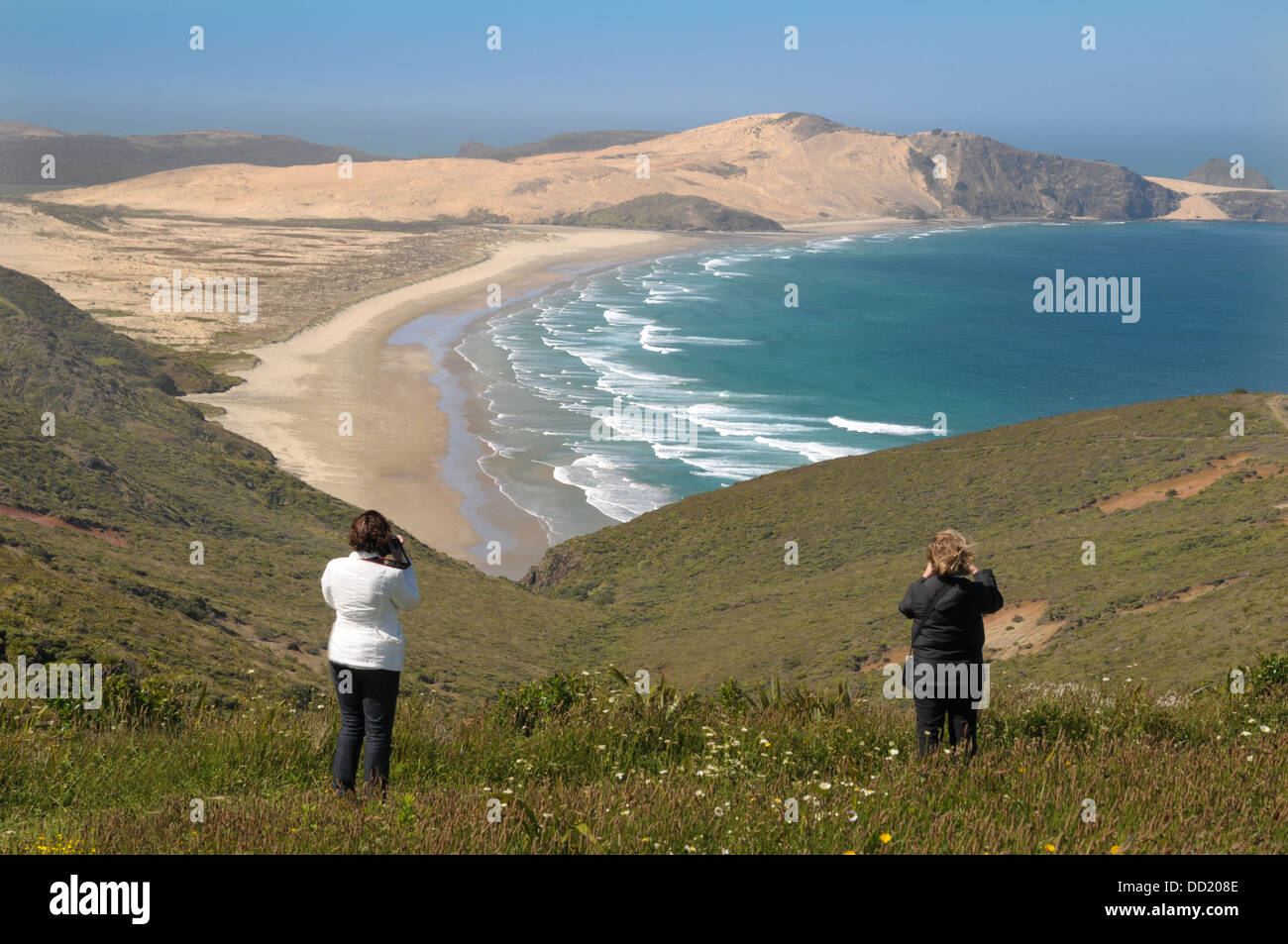 Cape Reinga - the beautiful coastline at the northern tip of NZ Stock ...