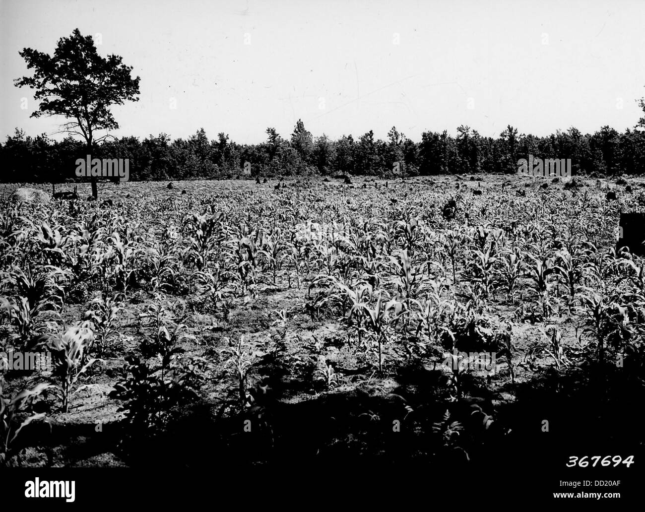 Submarginal hi-res stock photography and images - Alamy