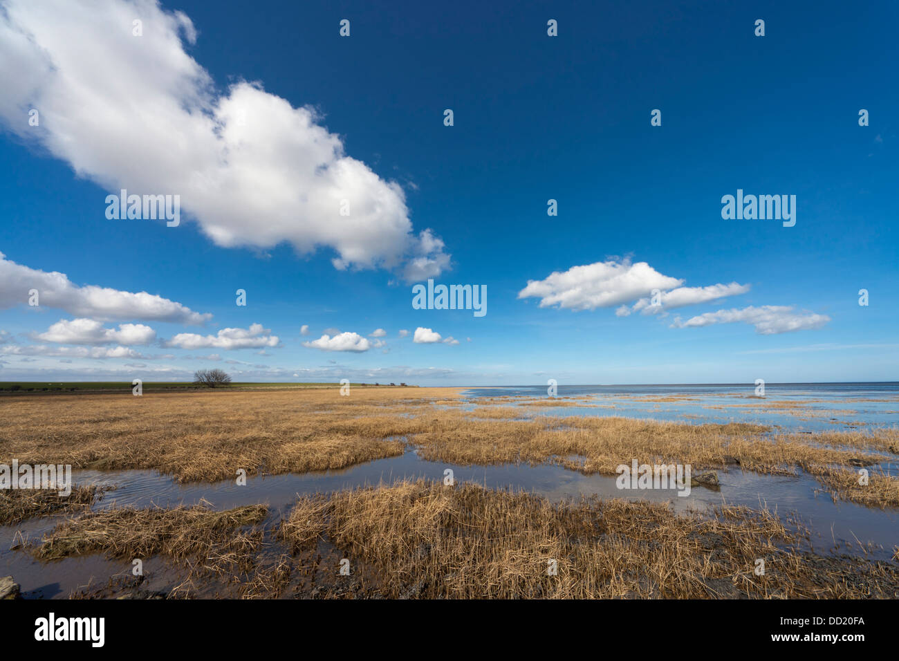 The North Sea As Viewed From The Shore; Northumberland England Stock ...