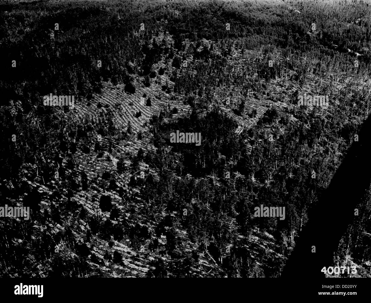 A photograph of furrowing being done for planting, showing the ...