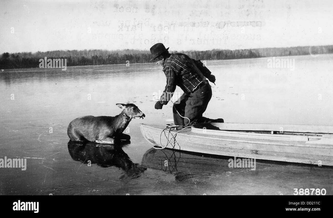 Conservation order Black and White Stock Photos & Images - Alamy