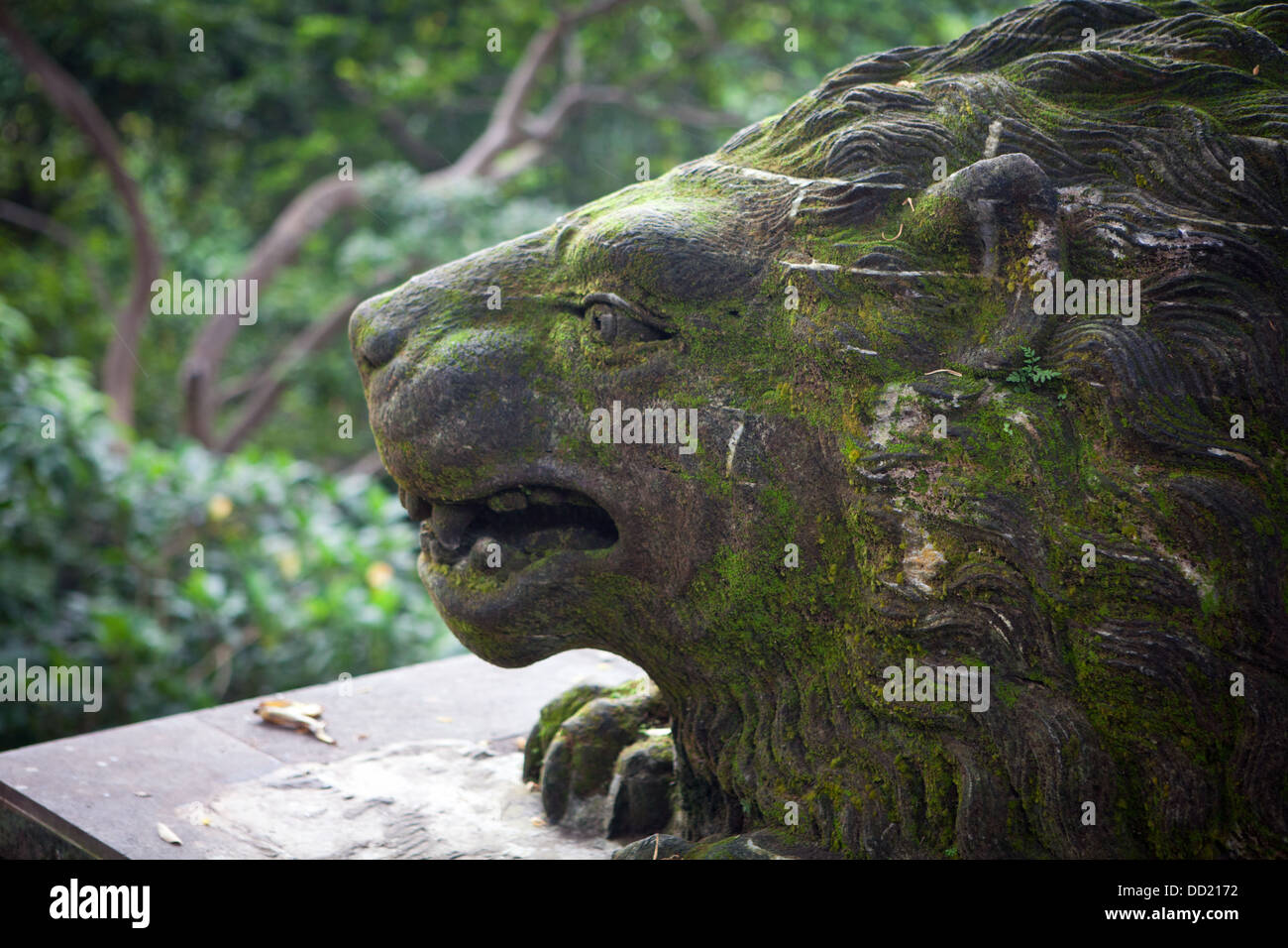 Monkey Forest temple, Ubud, Bali, Indonesia Stock Photo - Alamy