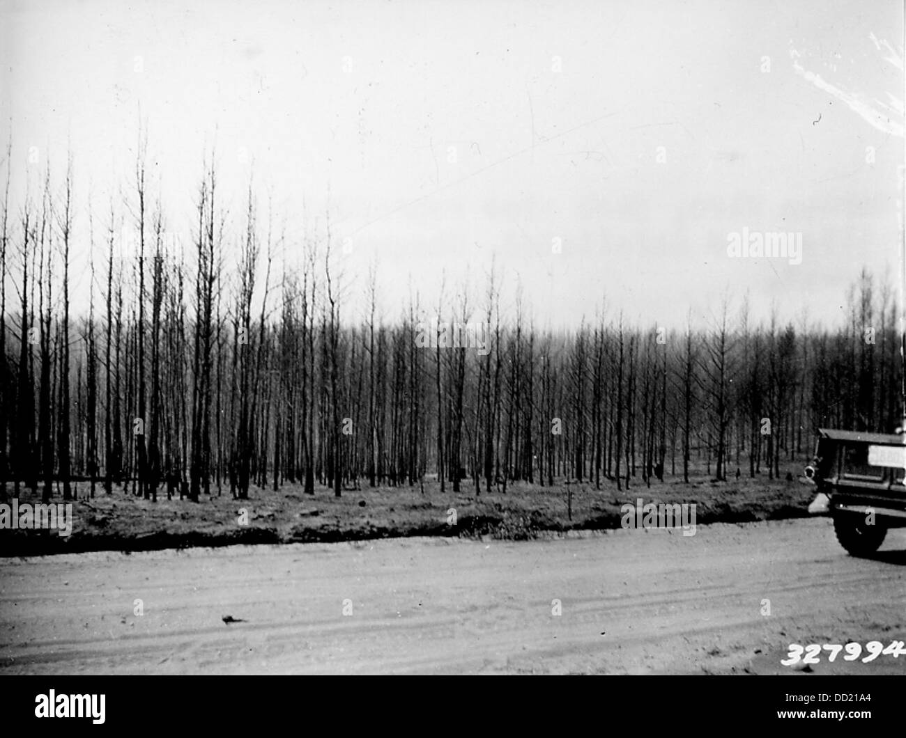 The Gordon Fire was a significant wildfire that occurred in the United ...