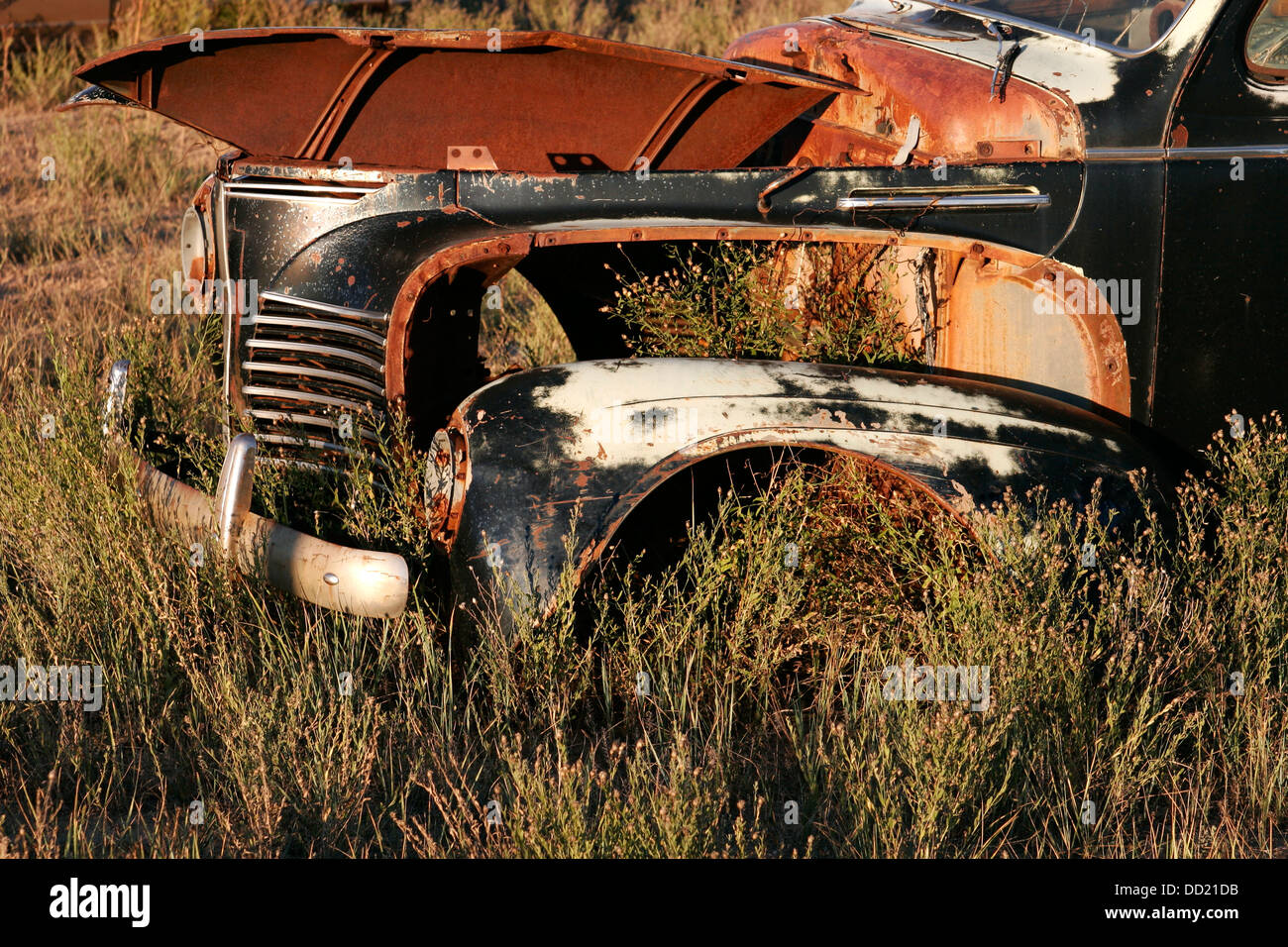 Old car dump, Colorado, USA Stock Photo - Alamy