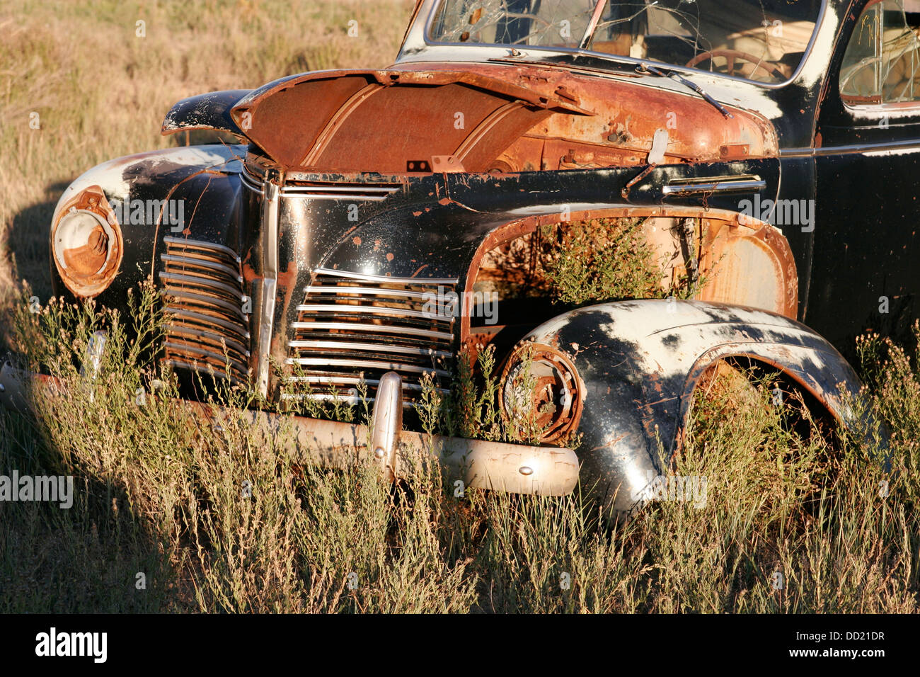 Old car dump, Colorado, USA Stock Photo - Alamy