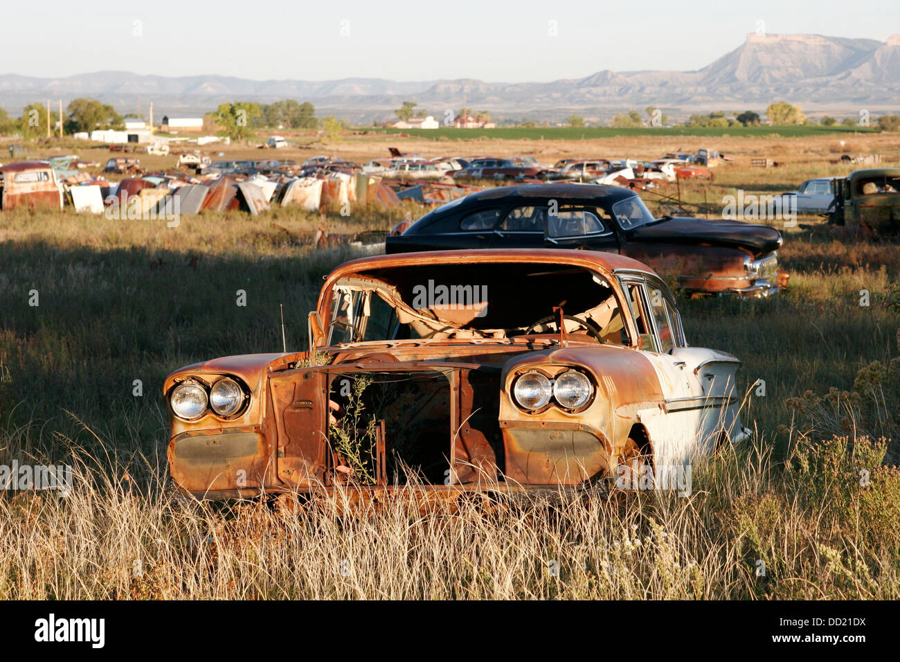 Old car dump, Colorado, USA Stock Photo - Alamy