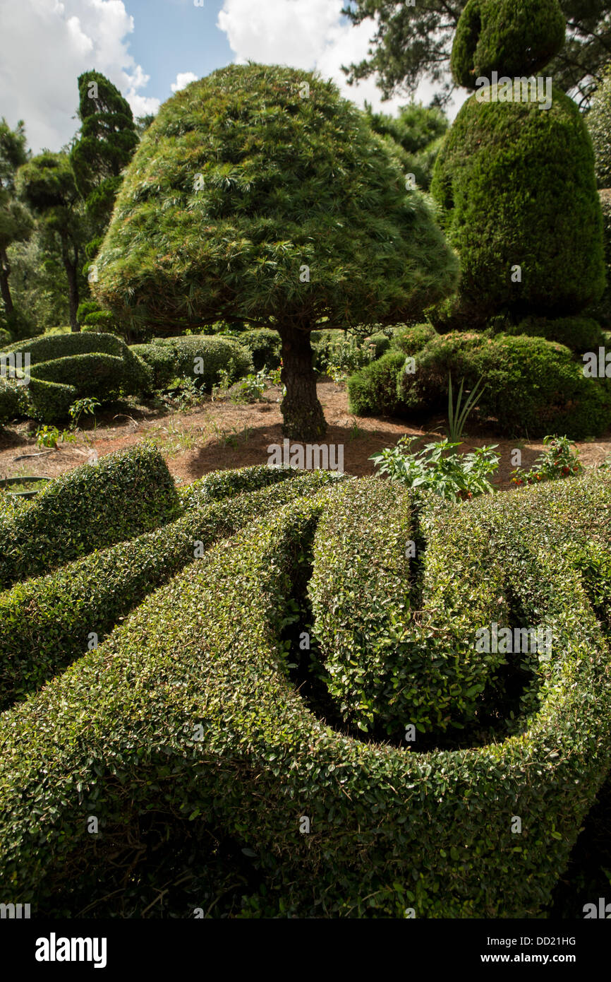 Pearl fryar topiary garden hi-res stock photography and images - Alamy