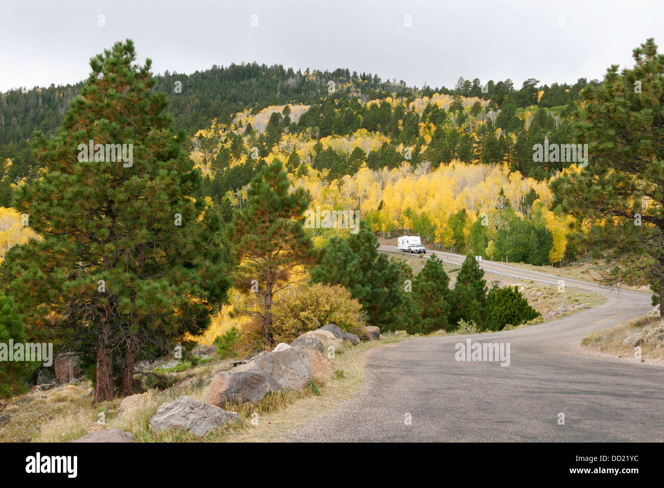 Autumn foliage in Utah, USA Stock Photo - Alamy