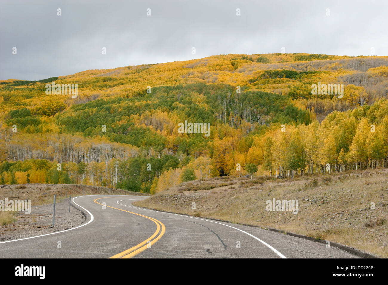 Autumn foliage in Utah, USA Stock Photo - Alamy