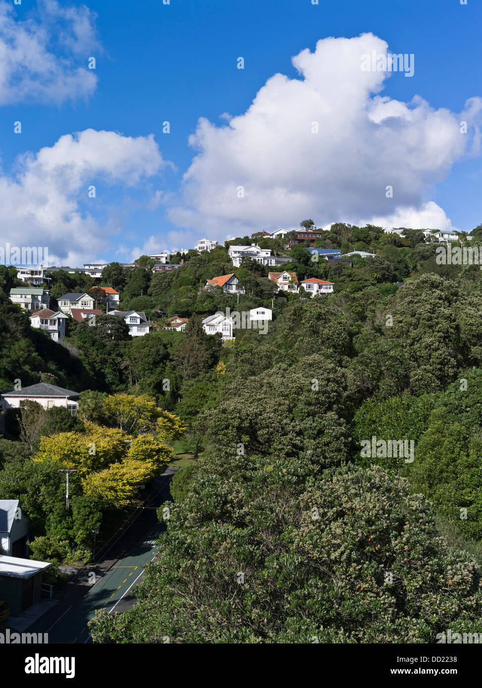 dh WELLINGTON NEW ZEALAND Hillside suburban residential houses house ...