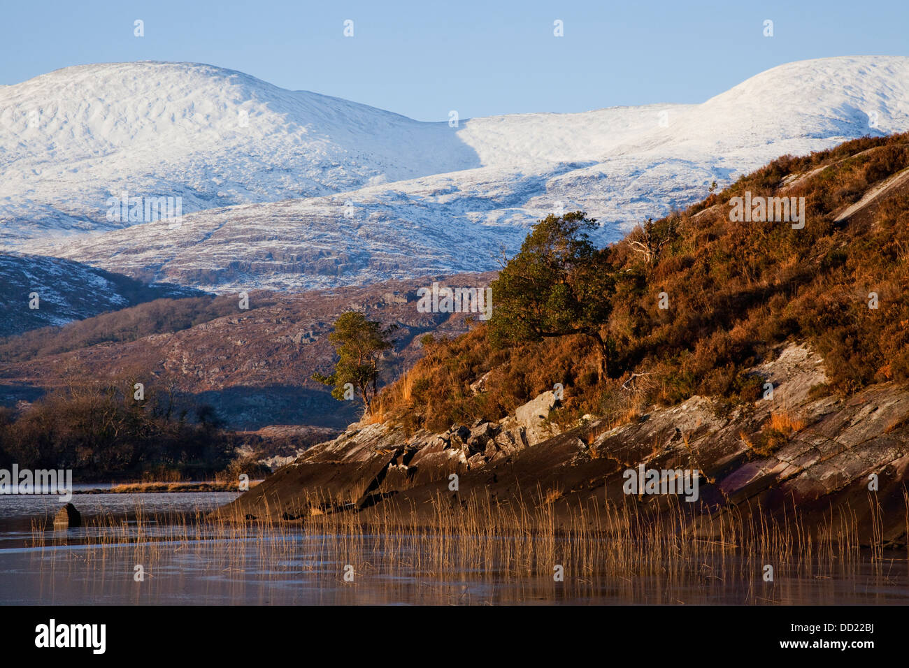 Winter In Killarney National Park; Killarney County Kerry Ireland Stock ...