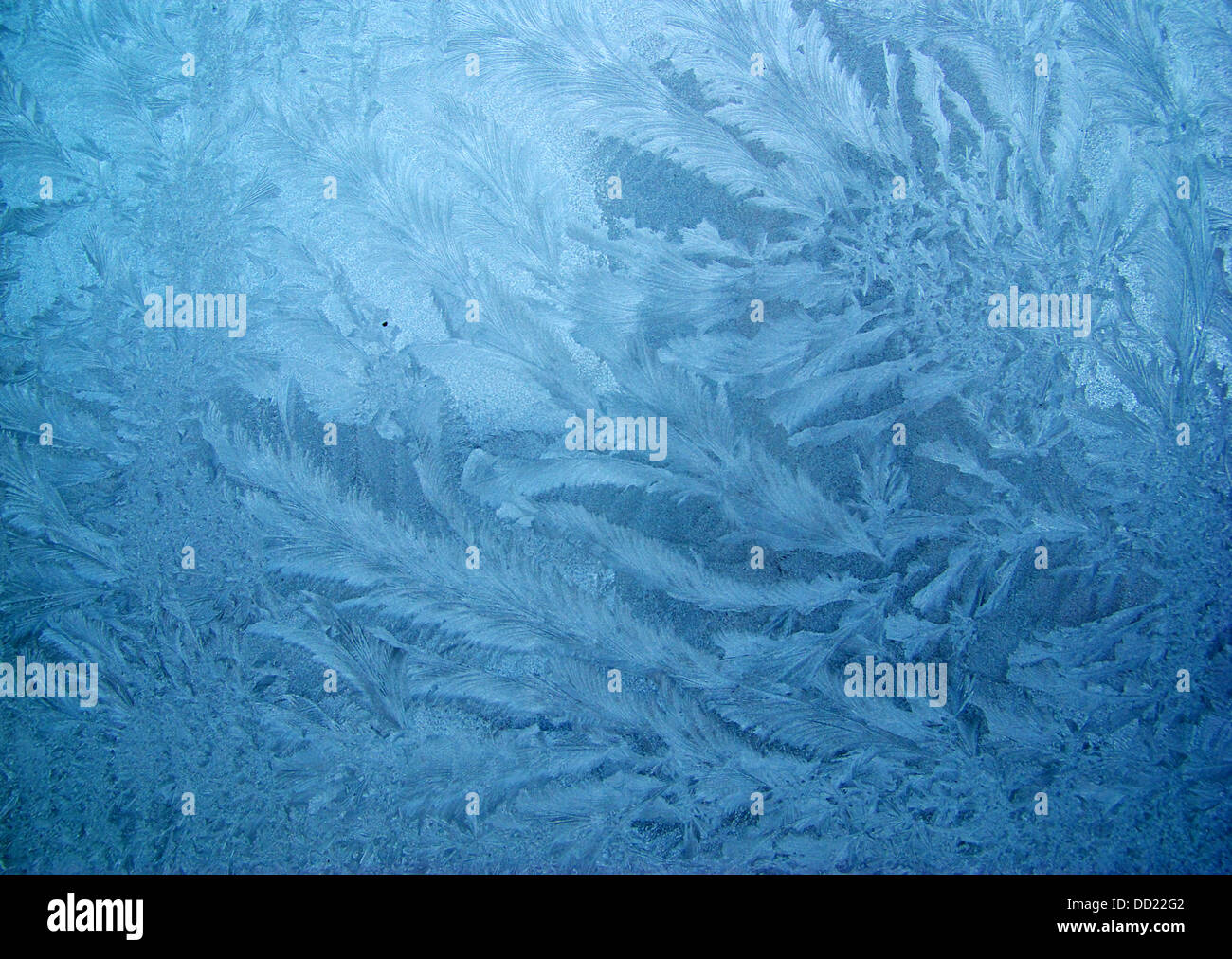 pattern on window Stock Photo - Alamy