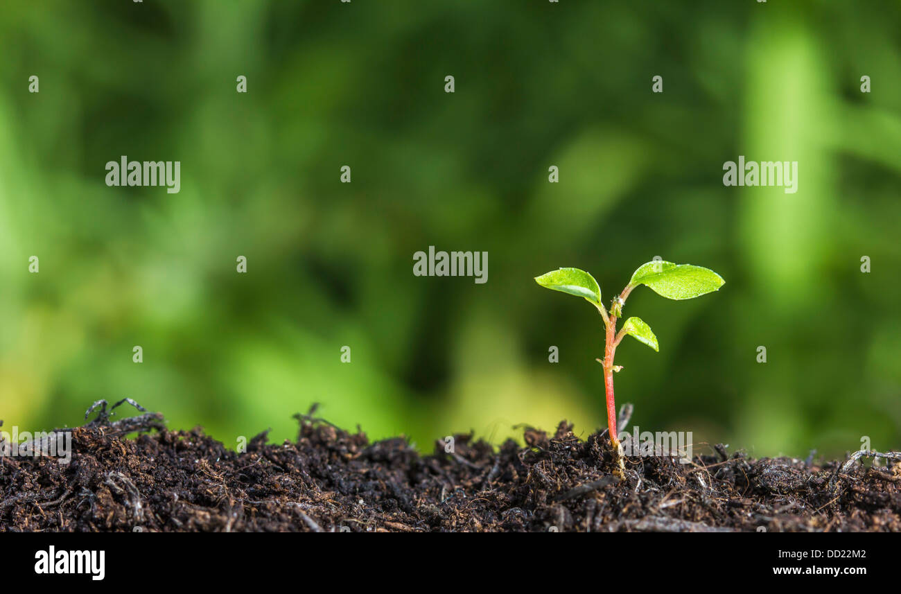 Eco ideas hi-res stock photography and images - Alamy