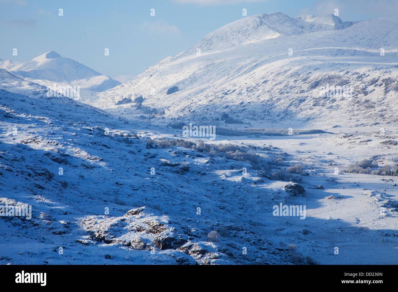 Snowy Landscape In Killarney National Park; Killarney County Kerry ...
