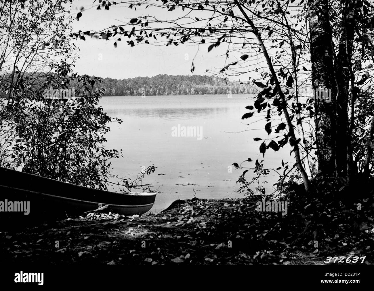 Windigo hi-res stock photography and images - Alamy