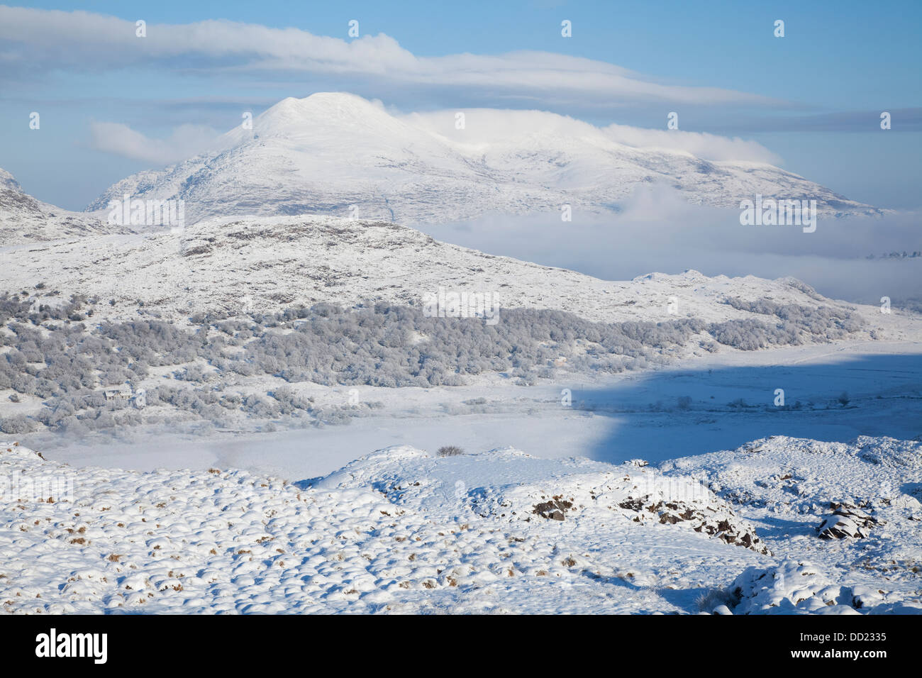 Snowy Landscape In Killarney National Park; Killarney County Kerry ...