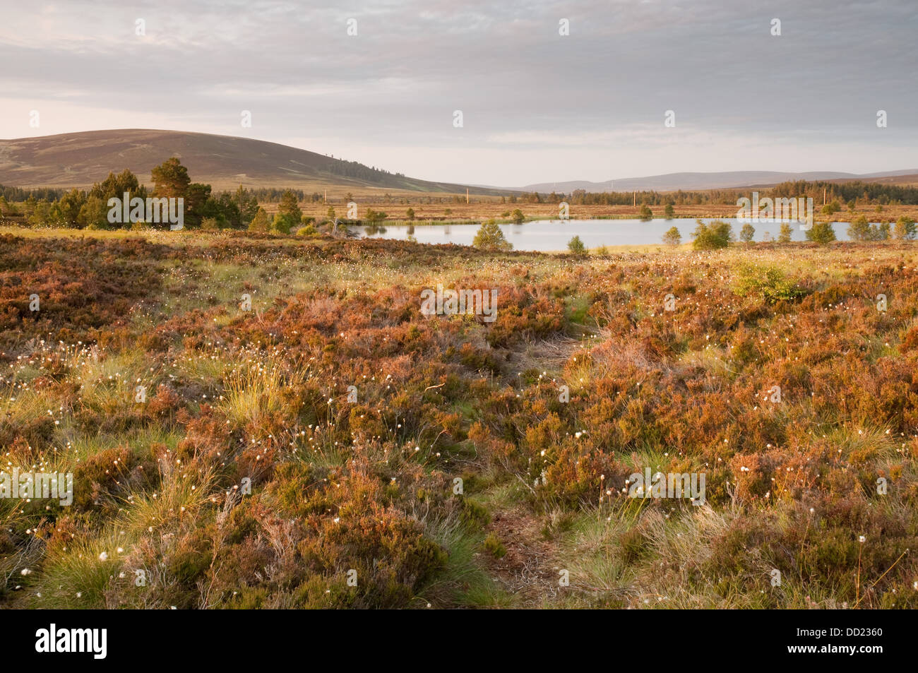 Knock and lochan hi-res stock photography and images - Alamy