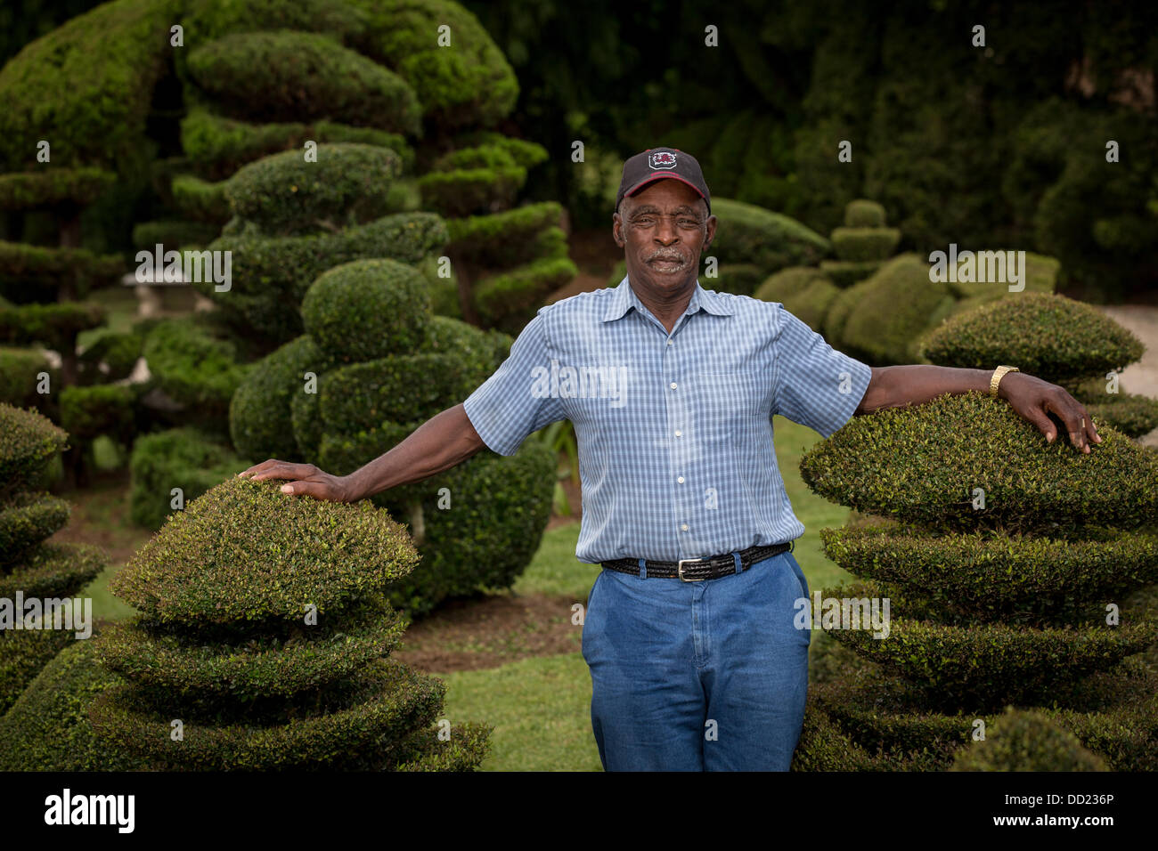 Pearl fryar topiary garden hi-res stock photography and images - Alamy