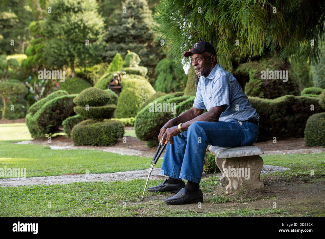 Pearl fryar topiary garden hi-res stock photography and images - Alamy