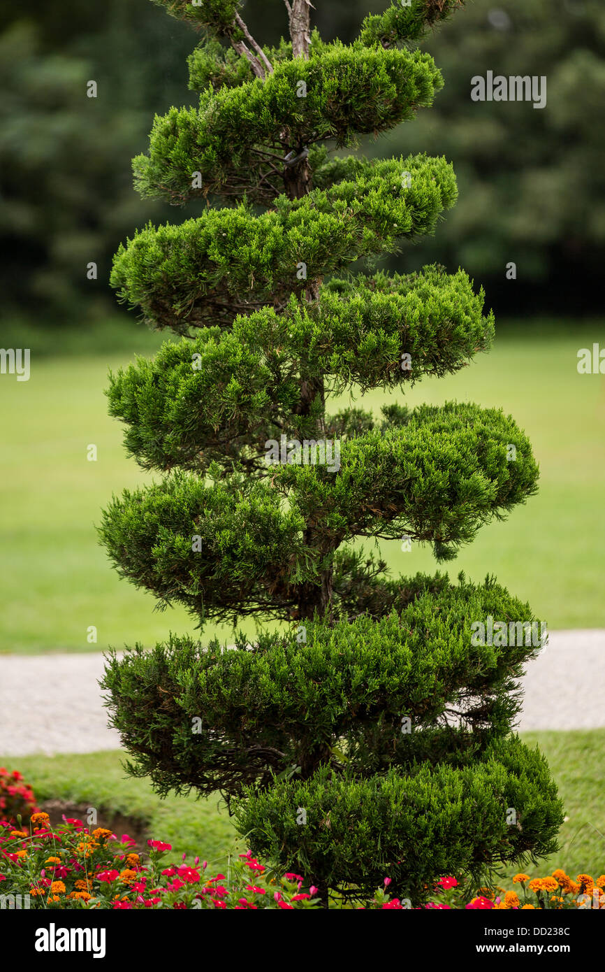 Pearl fryar topiary garden hi-res stock photography and images - Alamy